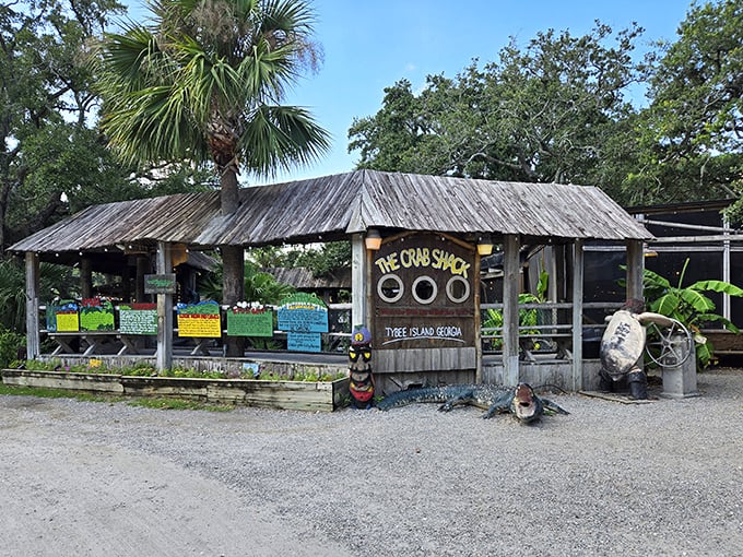 Talk about a crabby attitude! This rustic gem serves up seafood so fresh, you'll swear the fish are still gossiping about shore life.