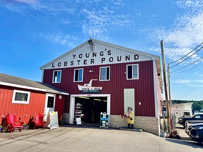 "Simplicity reigns supreme at Young's. This no-frills lobster pound proves that sometimes, the best seasoning is a dash of ocean breeze."