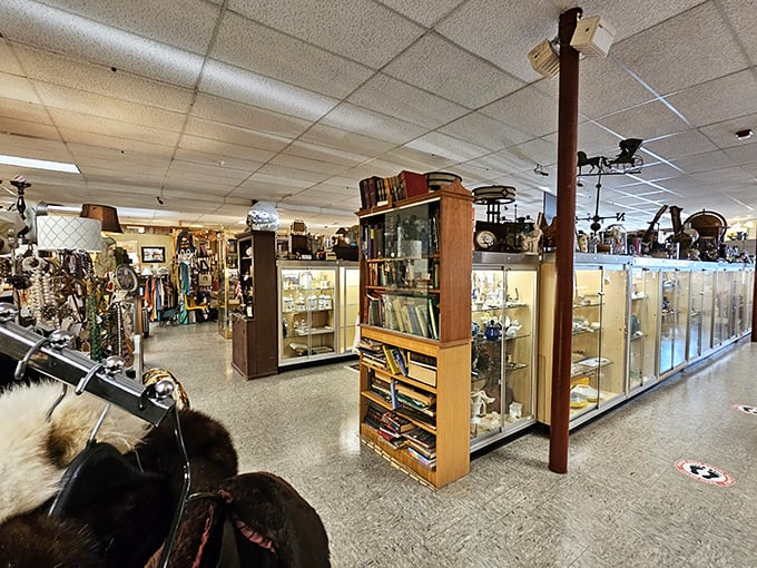 Aladdin's cave of curiosities awaits! Every aisle is a new adventure, with relics from bygone eras beckoning explorers.