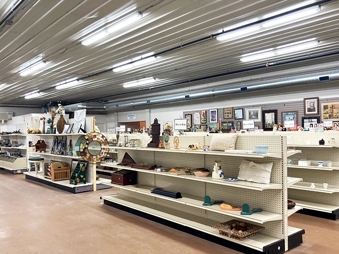 Step into a world where every aisle is a new adventure. It's like a department store had a baby with your eccentric aunt's attic!