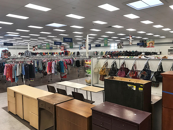 Step into a world where Marie Kondo's nightmares and shoppers' dreams collide. This organized chaos is a treasure trove of possibilities.