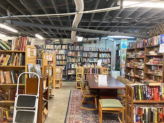 Step into a book lover's paradise! Shelves stretch to the ceiling, creating a labyrinth of literary treasures that would make Jorge Luis Borges proud.