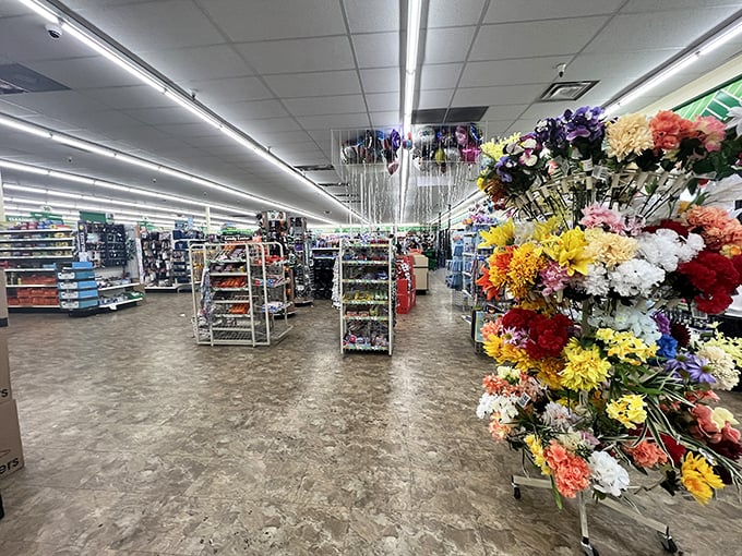 Step into a wonderland of affordable delights! From party supplies to pantry staples, this aisle is a budget-savvy shopper's dream come true.