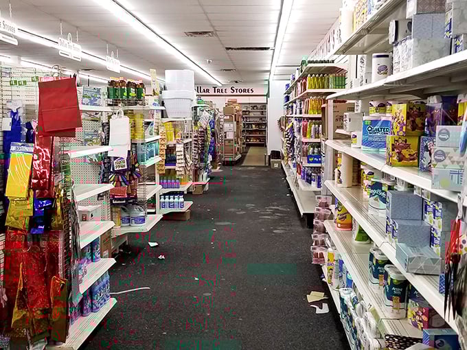 Behold, the Narnia of necessities! Aisles stretch endlessly, tempting bargain hunters with a cornucopia of cost-effective delights.