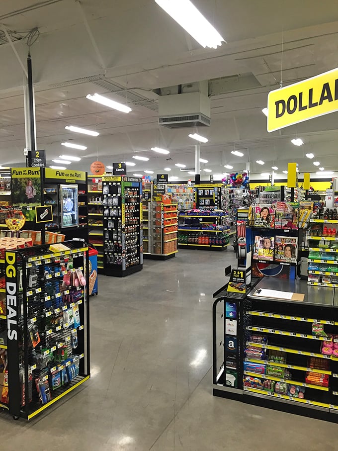 Wide, well-organized aisles defy the cluttered stereotype of discount stores, creating a shopping experience that feels more like a treasure hunt than a compromise.
