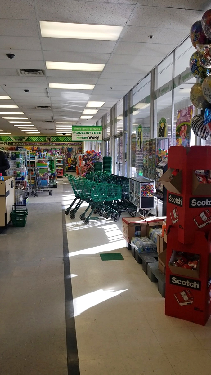 Sunlight streams through the front windows, illuminating a wonderland of possibilities where every aisle holds potential bargains.