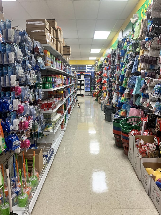 Aisles that stretch like roads to possibility. This fluorescent-lit wonderland makes bargain hunters weak in the knees.