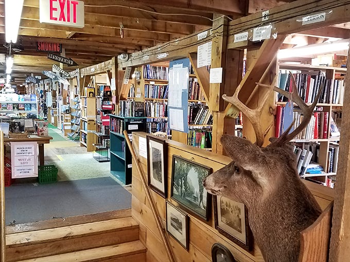Stairway to heaven? Nope, just the path to more books! This quirky corner showcases the barn's rustic charm and eclectic decor.