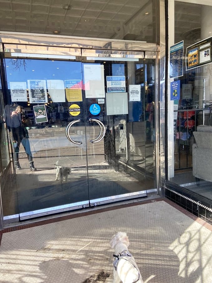 Step right up, folks! This entrance is your portal to a world where one person's castoffs become another's prized possessions.