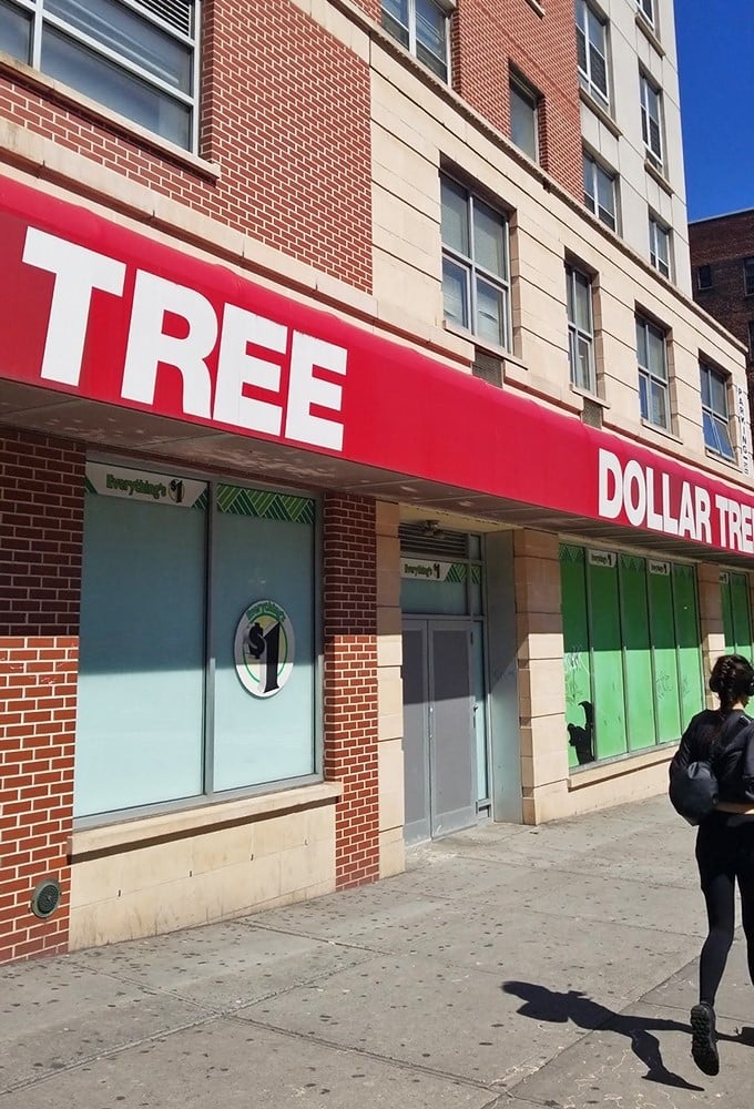 Where Washington Heights meets wallet relief&mdash;this Dollar Tree's brick facade houses treasures that won't break your already fragile New York budget.