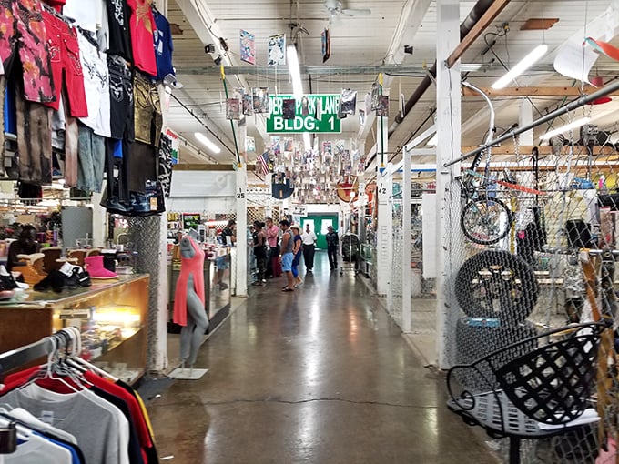 Step into the time machine, folks! This hallway leads you through decades of fashion, fads, and forgotten gems.
