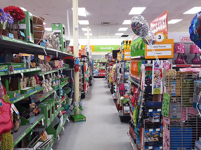 Aisles that stretch toward infinity, each one a different adventure in affordable treasures. The TARDIS of discount shopping.