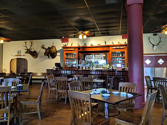 Antlers and appetites unite! This cozy dining room is where carnivorous dreams come true, with a side of rustic charm.