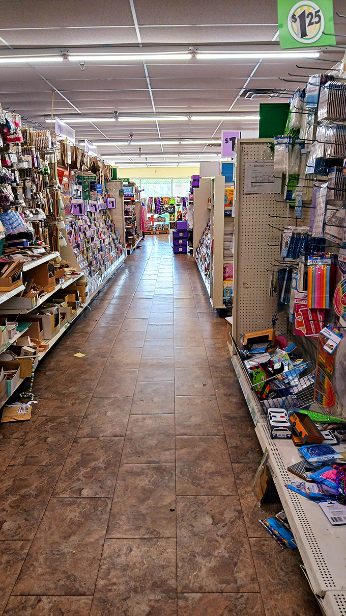 Behold the Narnia of nickel-and-dime delights! These aisles stretch on like roads to bargain heaven, each one a new adventure in affordability.