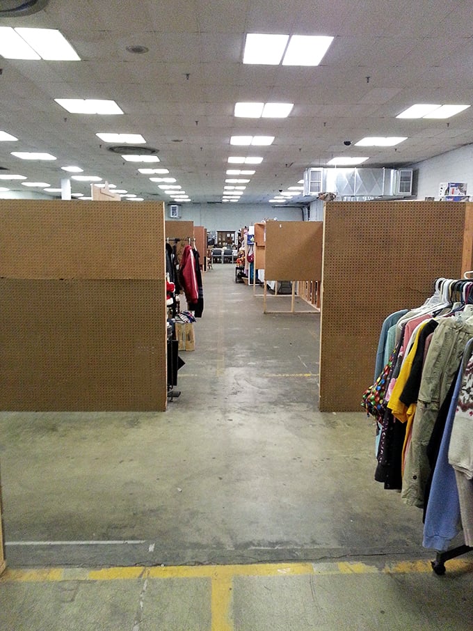 Step into a labyrinth of possibilities. These aisles aren't just paths; they're portals to forgotten eras and unexpected finds.