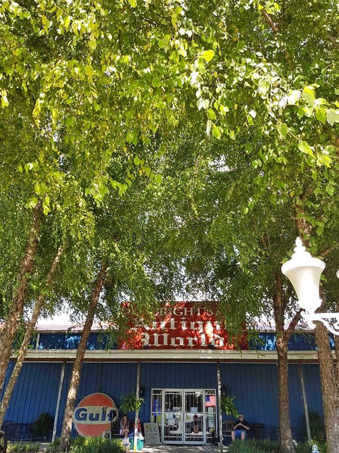 Nature's green carpet rolls out the welcome mat. These leafy sentinels have witnessed decades of antique enthusiasts embarking on their quests for quirky finds.