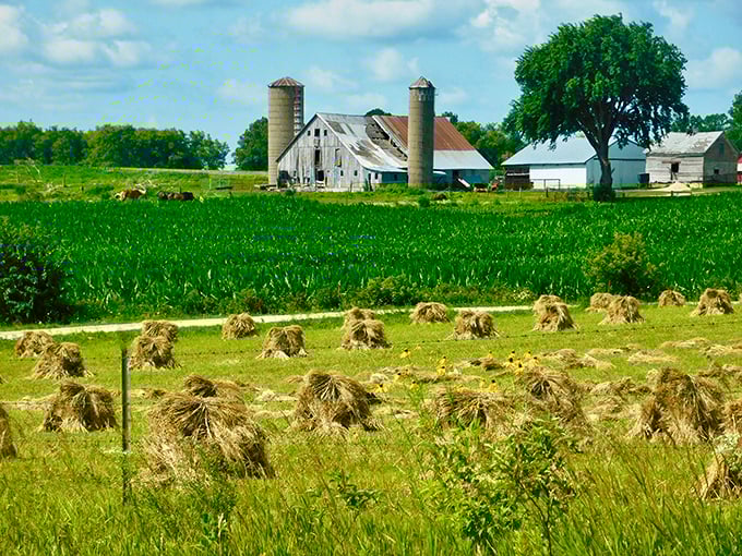 Fields of dreams and sheaves of wheat! This picturesque farm scene is so idyllic, you half expect Kevin Costner to emerge from the corn.