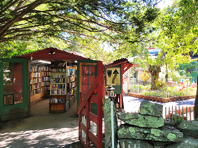 Step into a storybook world! This charming red shed isn't just eye candy &ndash; it's a portal to countless adventures waiting on its shelves.