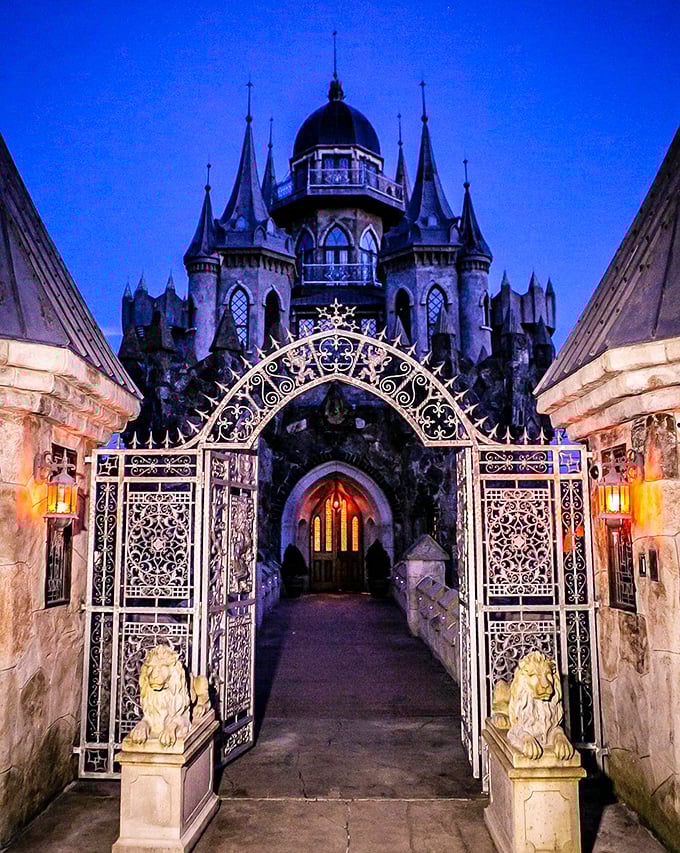 Who needs a drawbridge when you've got a gateway to enchantment? This entrance would make even Merlin do a double-take.