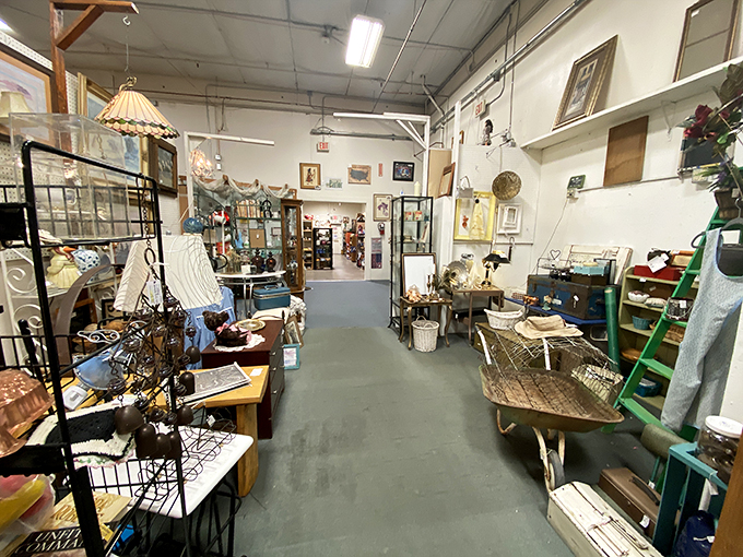 Step inside and prepare for sensory overload! This aisle is like your grandma's attic, but with better organization and fewer cobwebs.