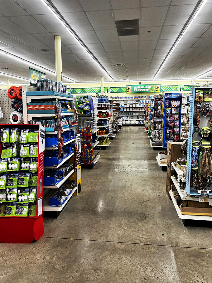 Wide, well-organized aisles invite exploration&mdash;like a museum where everything costs $1.25 and you're encouraged to touch the exhibits.