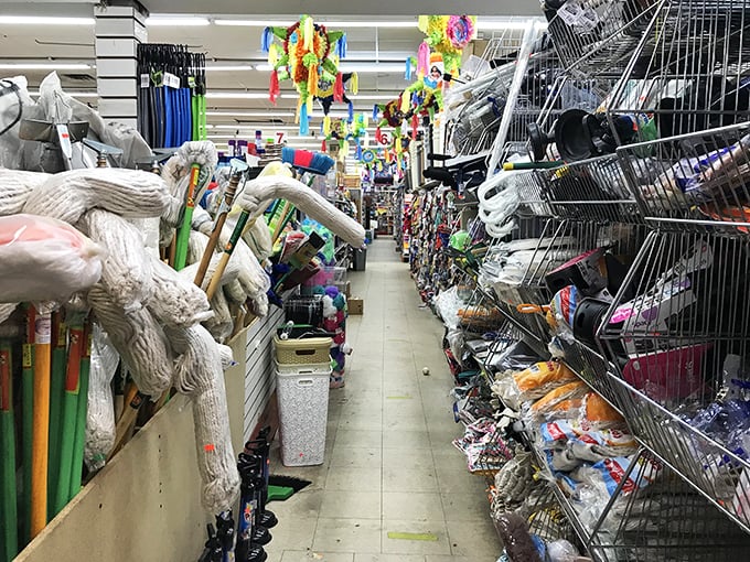 Step into a wonderland of whimsy! This aisle is a treasure trove of trinkets, where plastic flamingos rub elbows with garden gnomes and party supplies.