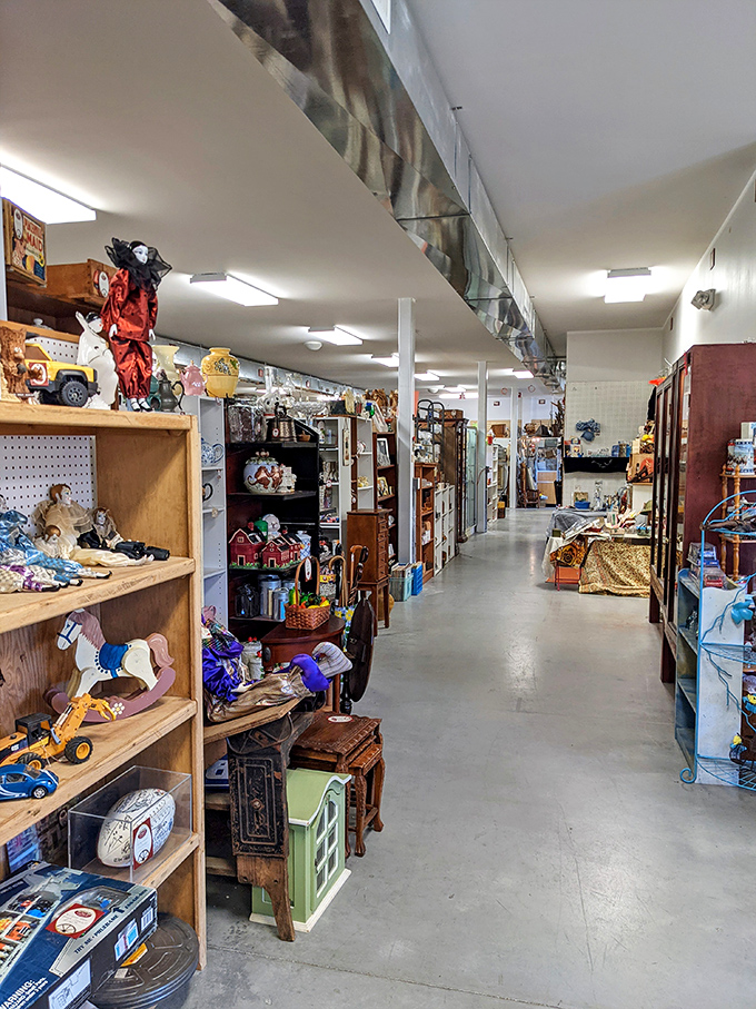 Step into a treasure trove of memories. This aisle is like a time machine, each shelf holding a piece of history waiting to be rediscovered.