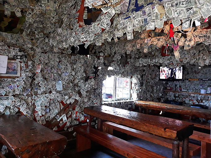 Money doesn't grow on trees, but at the Salty Dawg, it certainly grows on walls. A cash-covered interior that's more intriguing than Fort Knox!