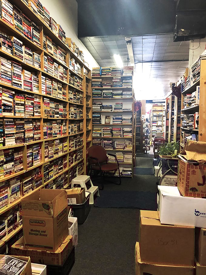 Shelf after shelf of literary treasures. It's like someone took your dream library and made it a reality.