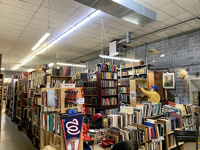 Bookworms, rejoice! This isn't just a store; it's a fortress of knowledge where every aisle is a new chapter waiting to be explored.