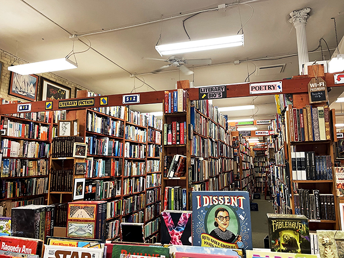 Welcome to the labyrinth of literature! Floor-to-ceiling shelves create a maze of knowledge, where every turn reveals a new literary treasure.