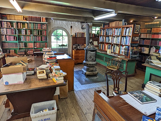 Step inside and breathe deep. That's the intoxicating aroma of knowledge, adventure, and maybe a dash of dust-jacket musk.