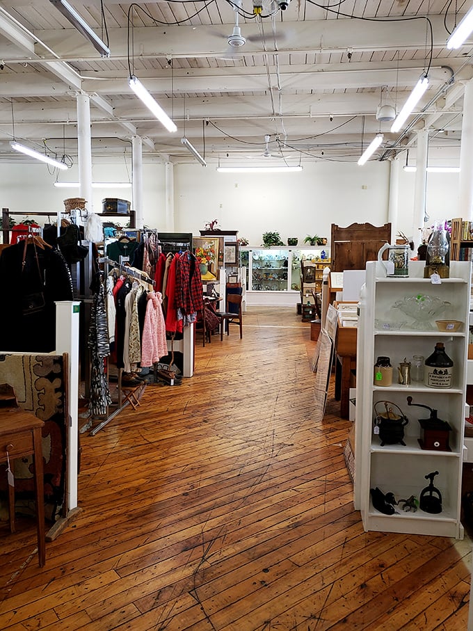 Welcome to the land of 'I remember when...' Aisles of memories await, each item whispering tales of yesteryear.