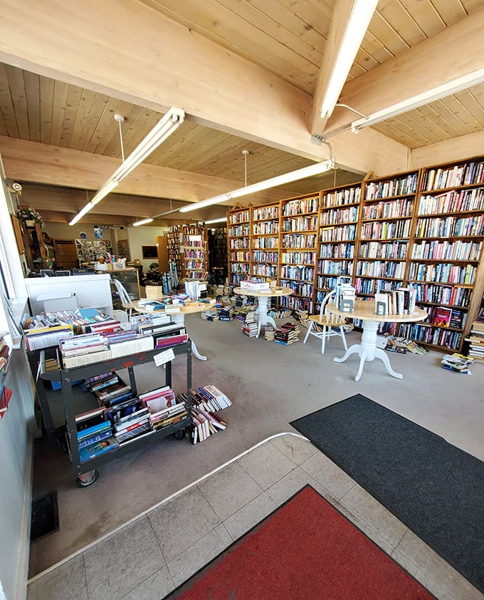 Step into a wooden wonderland where shelves stretch as far as the eye can see. It's a lumberjack's dream filled with literary treasures.