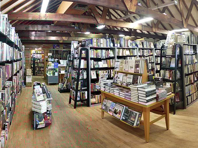 Step inside and prepare for a feast of the mind. These shelves are a buffet of boundless imagination, served with a side of rustic charm.