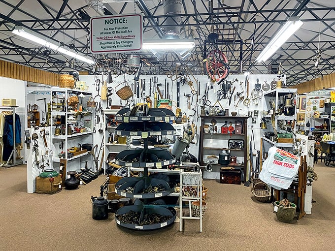 Tools, trinkets, and tchotchkes, oh my! This aisle is like a hardware store crossed with your eccentric aunt's attic.