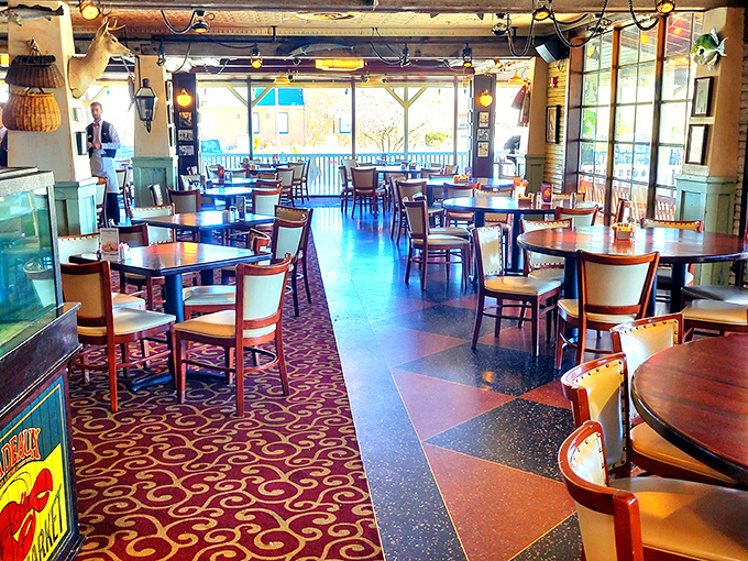 Step inside and let the coastal vibes wash over you. It's like someone sprinkled a dash of New Orleans magic into Albuquerque's enchanted landscape.