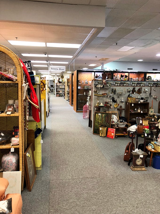 Step into a wonderland of yesteryear! This aisle is like Indiana Jones' attic, if Indy collected charming knick-knacks instead of world-ending artifacts.