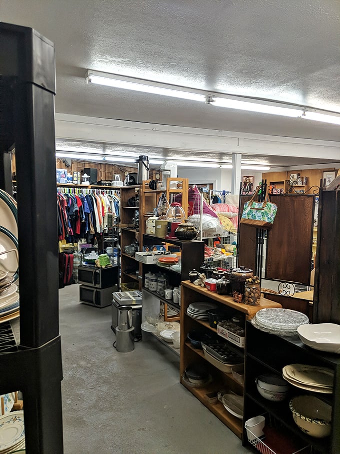 Step into a time machine disguised as a store. From vintage threads to quirky knick-knacks, every aisle is a new adventure.