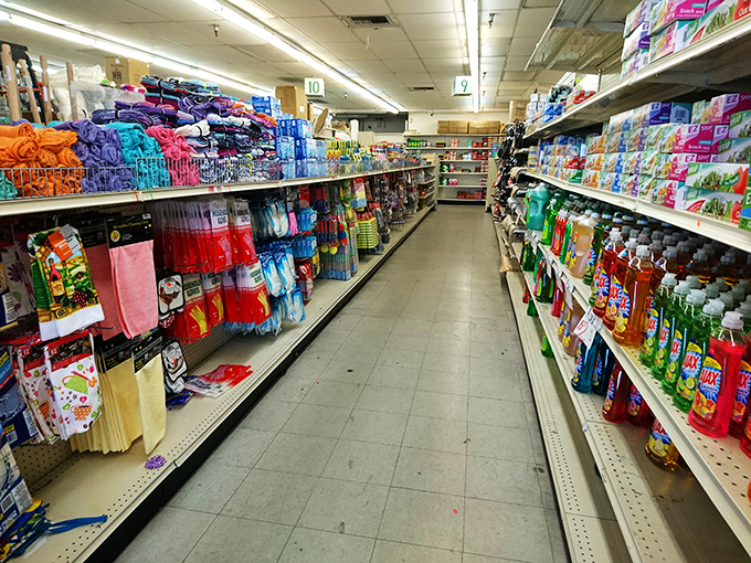 Aisles of opportunity stretch before you like a rainbow of affordability. It's like Willy Wonka's factory, but for bargain hunters.