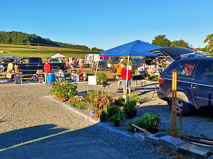 Nature lovers, rejoice! This green oasis amidst the market chaos is like stumbling upon a secret garden in a concrete jungle.