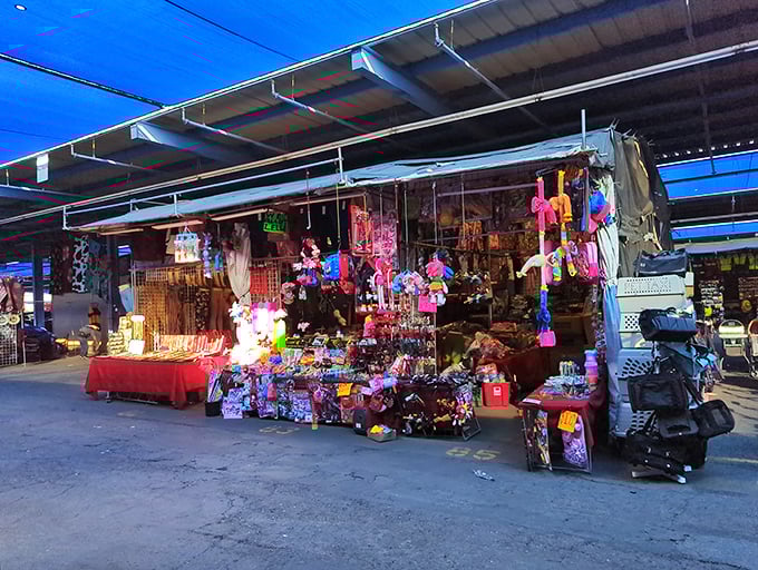 Bursting with color and curiosities, this stall is a treasure trove of trinkets. Indiana Jones would have a field day exploring these wares!