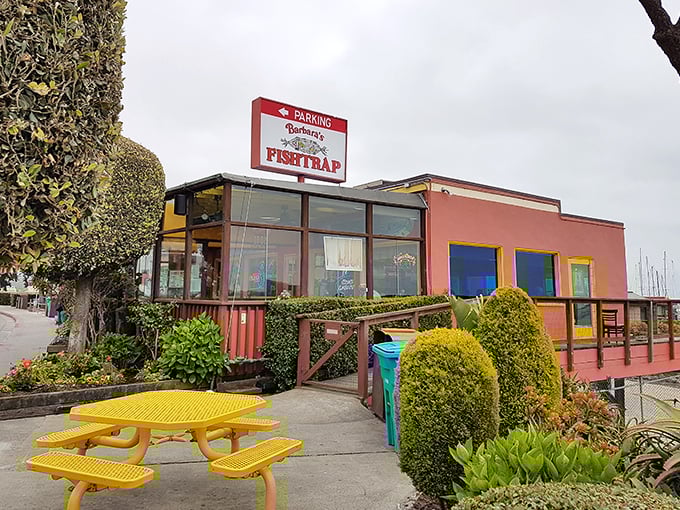 Barbara's Fishtrap: Where the fish is so fresh, it practically jumps onto your plate. Bring your appetite and leave your diet at the door!