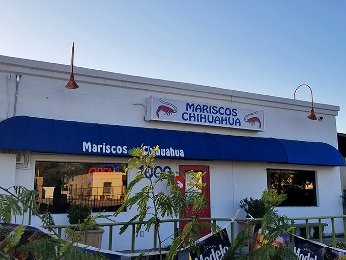 Mariscos Chihuahua: Don't let the unassuming exterior fool you. Inside, it's a seafood party that would make Poseidon jealous!