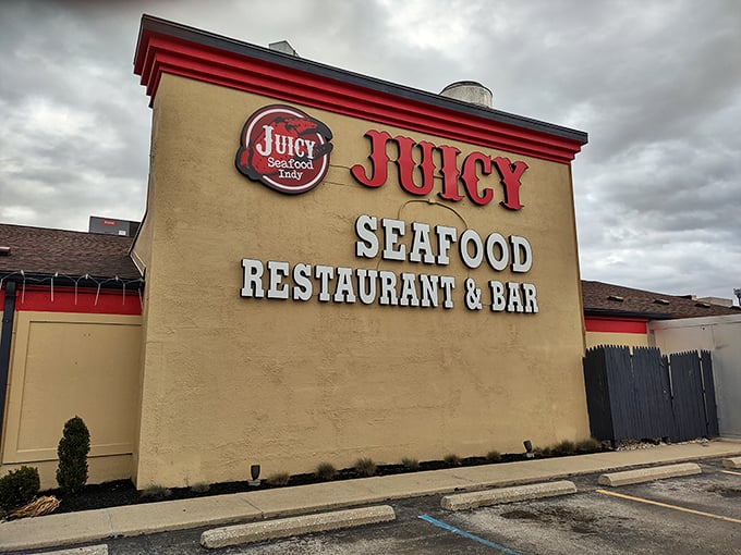The Juicy Seafood: Where napkins are your best friend and finger-licking is an art form. Prepare for a delicious, messy adventure!