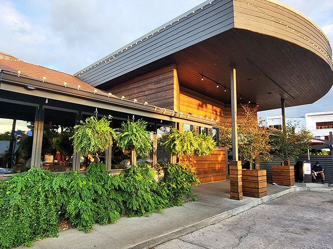 Urban Grub: Where rustic charm meets seafood sophistication. This curved wooden exterior is like a ship captain's dream treehouse!