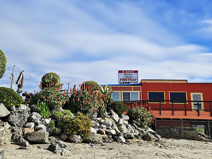 This cheery yellow beacon of seafood goodness is like a warm, crispy hug for your taste buds. Don't forget to try the chowder!
