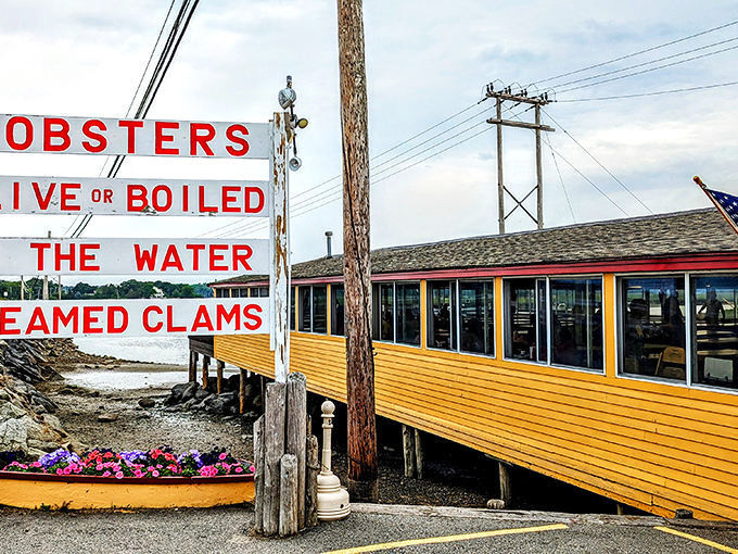 "Live or Boiled" &ndash; Brown's gives you options! It's like choosing your own crustacean adventure, but every ending is delicious.