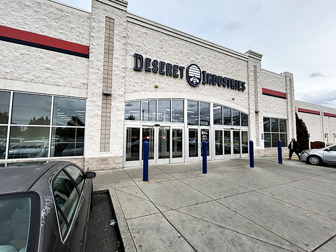 DI: Where your grandma's old lamp finds its second act. It's like a time machine, but with better prices and no risk of altering the space-time continuum.