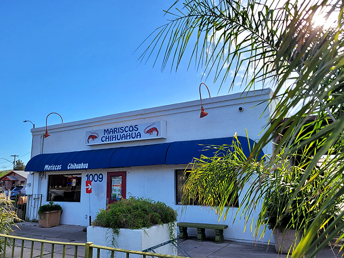 Palm trees and promise: Mariscos Chihuahua serves up a slice of coastal bliss. The blue awning is your gateway to flavor town.